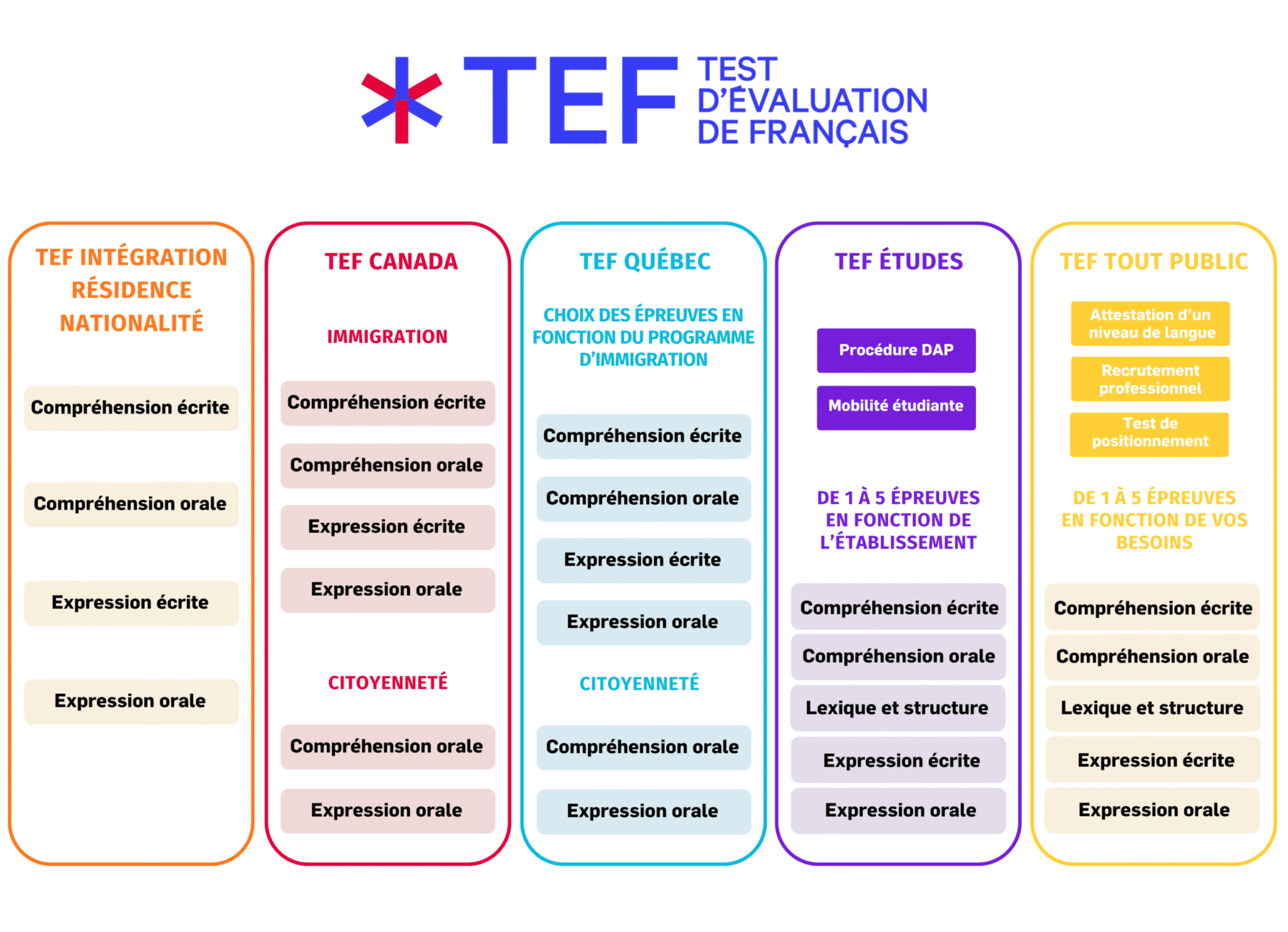 Les meilleures ressources pour se préparer au TEF - Gesco Formation